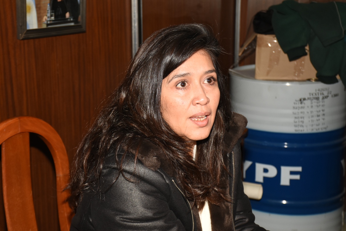 La Legisladora y nieta recuperada N° 66, Victoria Montenegro presentó ...